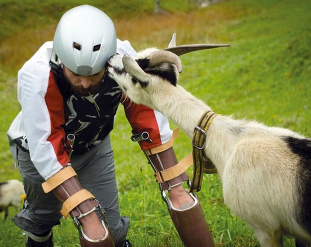 Se convierte en cabra porque 'estaba harto de la vida'