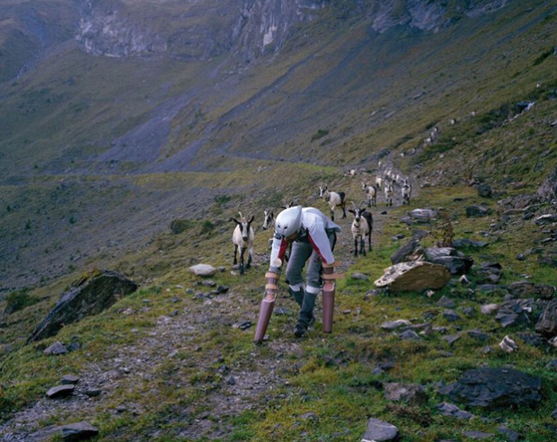 Se convierte en cabra porque 'estaba harto de la vida'