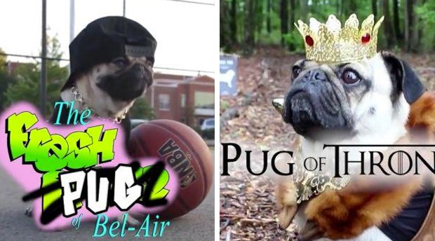 Este Pug recrea las intros de las series más famosas de la televisión