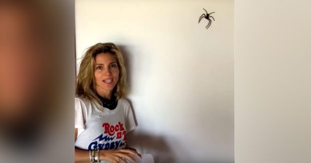 Así es como atrapa Elsa Pataky a las arañas enormes que entran en su casa - miBrujula.com