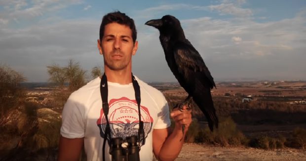 Un cuervo como mascota - miBrujula.com