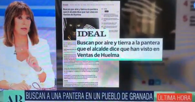 Ana Rosa Quintana: ''Estoy muy preocupada porque no es una pantera ...