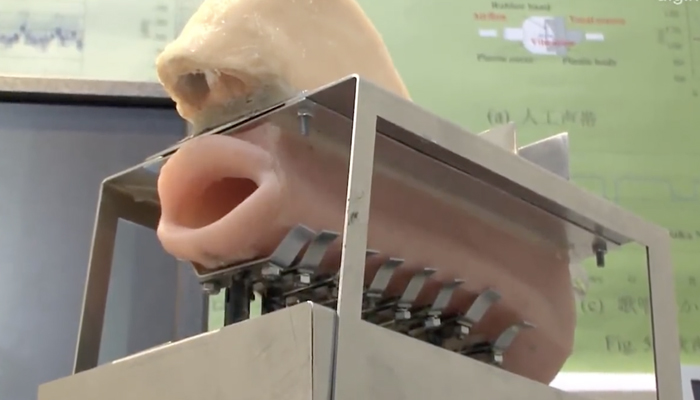 Científicos en Japón han creado un robot que habla con las cuerdas ...